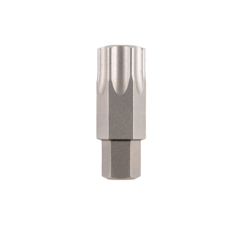 ANECHOIC - AnechoX Front Cap Torx Bits